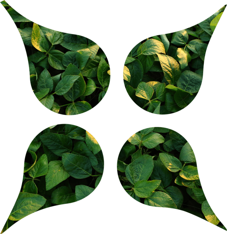 Plant Trait Technology | Grower Resources - ZeaKal