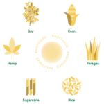 Plant Trait Technology | Home - ZeaKal